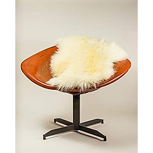 Natural Sheepskin Rug with Thick and Lush 2.5 Inch Pile | Hypoallergenic Sheep Fur Rug with Anti-Skid Back l Sheepskin Wool Area Rugs, Natural, 2 ft x 3 ft