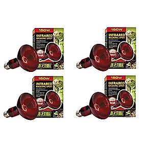Exo Terra Heat-Glo Infrared Spot Lamp, 150-Watt/120-Volt (4 Pack)