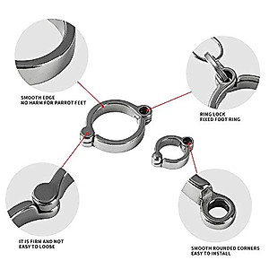 Bird Foot Rings AISI 316L Stainless Steel Bird Harness Outdoor Parrots Leg Ring Outdoor Fly Training Activity Opening Clip Accessories for Parrots(15.5mm)