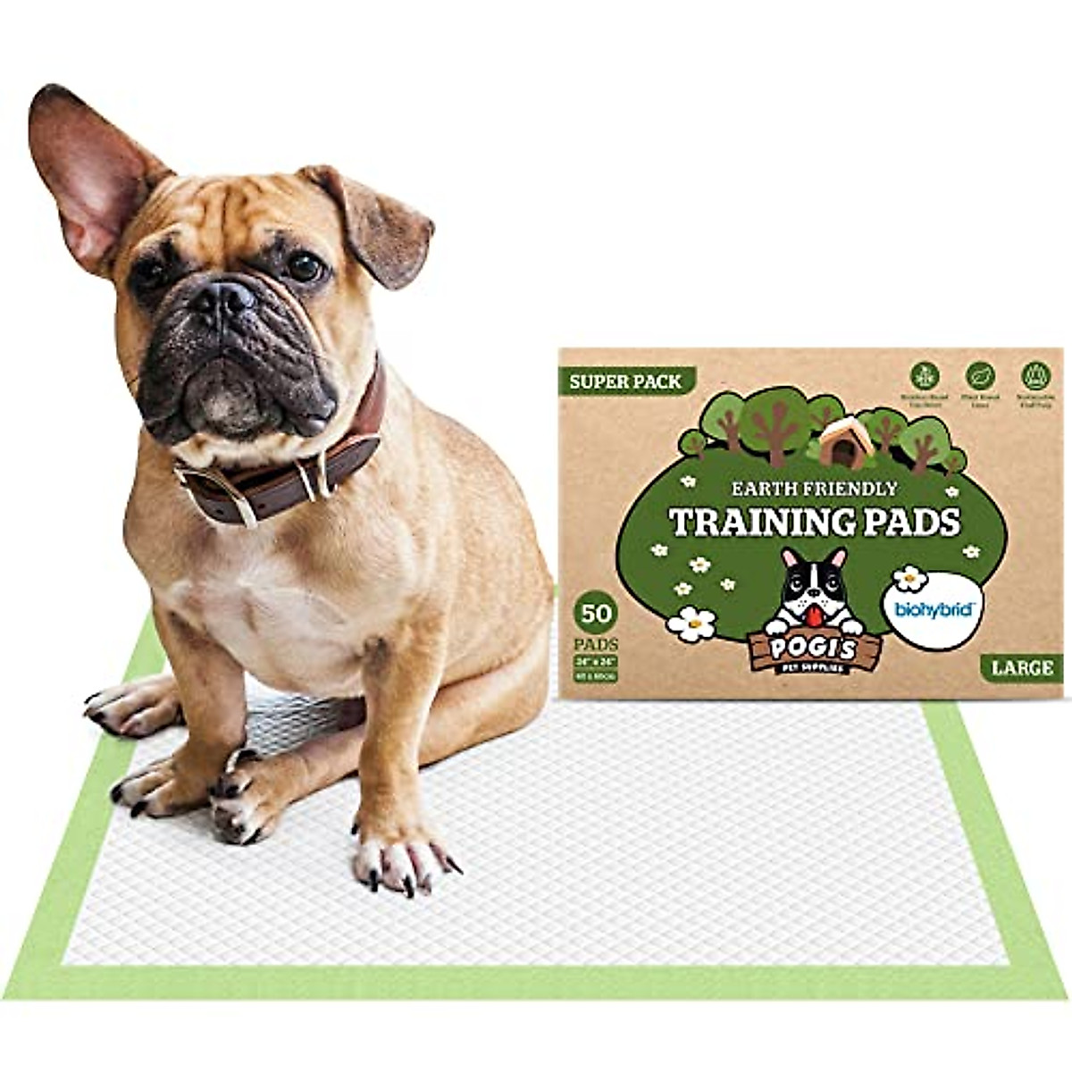 Pogi's Dog Training Pads with Adhesive Sticky Tabs (50-Count) (24x24in) - Large Puppy Pads, Earth-Friendly Dog Pads, Plant-Based Puppy Pee Pads for Dogs - Puppy Supplies for Small to Large Sized Dogs