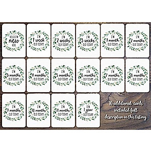 CoCreative Design Newborn Baby First Year Progress Report Cards (Set of 26) - Unique Shower Prop Gift with Cute Sayings and Floral Wreath Prints - Perfect for New Moms and Parents