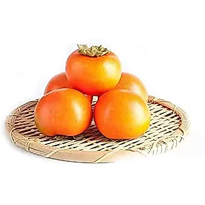 MITRAEE 50Pcs Persimmon Fruit Tree Seeds Mixed Delicious Japanese Bonsai Plant Home Garden
