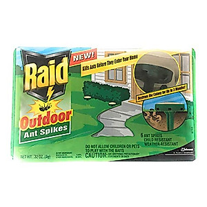 Raid Outdoor Ant Spikes - 6 ct