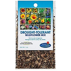 Drought Resistant Wildflower Seeds - 1oz, Open-Pollinated Bulk Flower Seed Mix for Beautiful Perennial, Annual Garden Flowers - No Fillers - 1 oz Packet Sell by Dec 2024