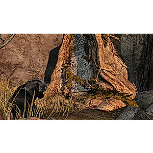 Dark Souls II: Scholar of the First Sin (Xbox 360)