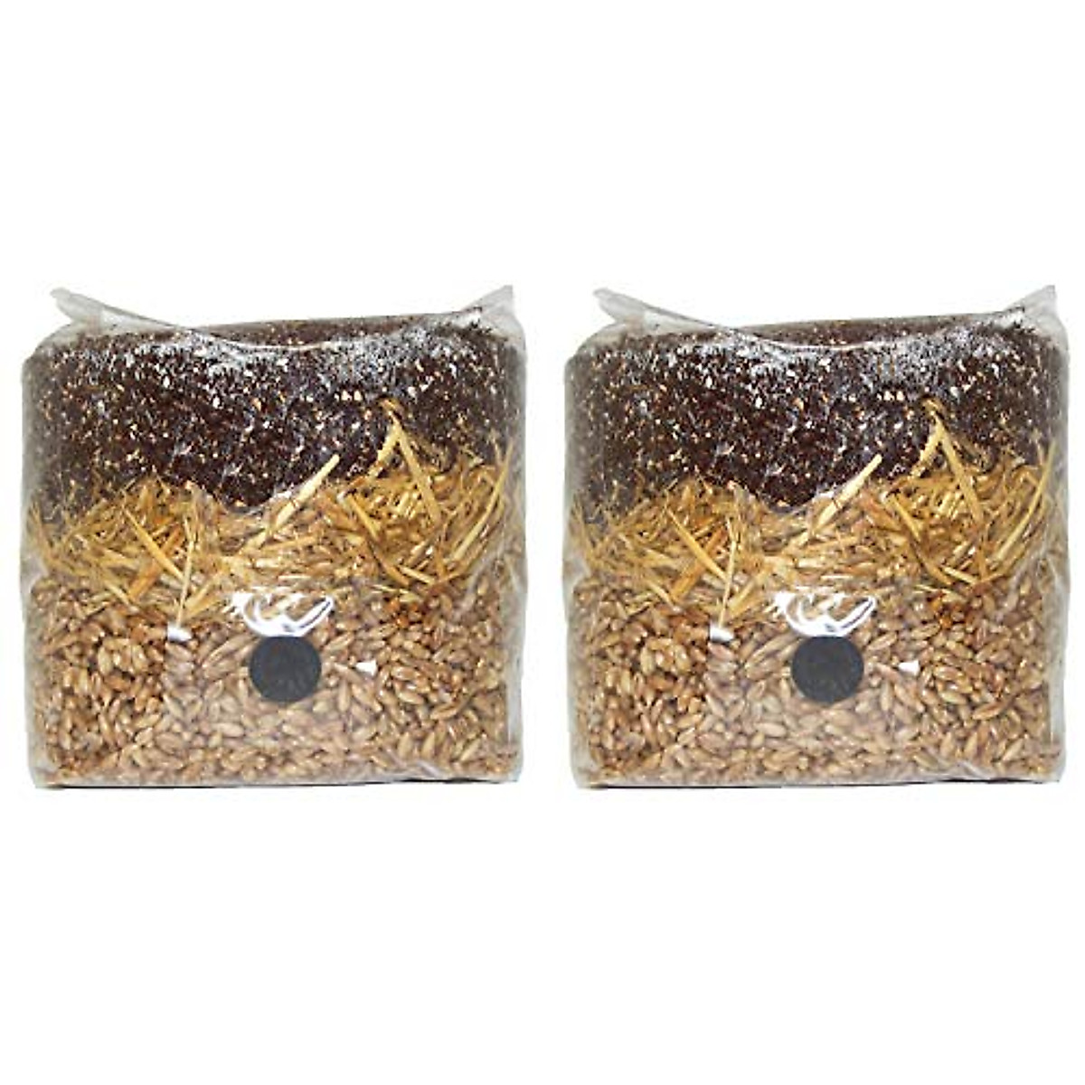 All in One Mushroom Grow Bag (2 Pack)