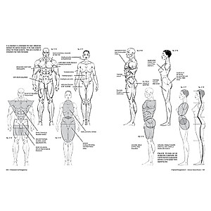 Framed Perspective Vol. 2: Technical Drawing for Shadows, Volume, and Characters