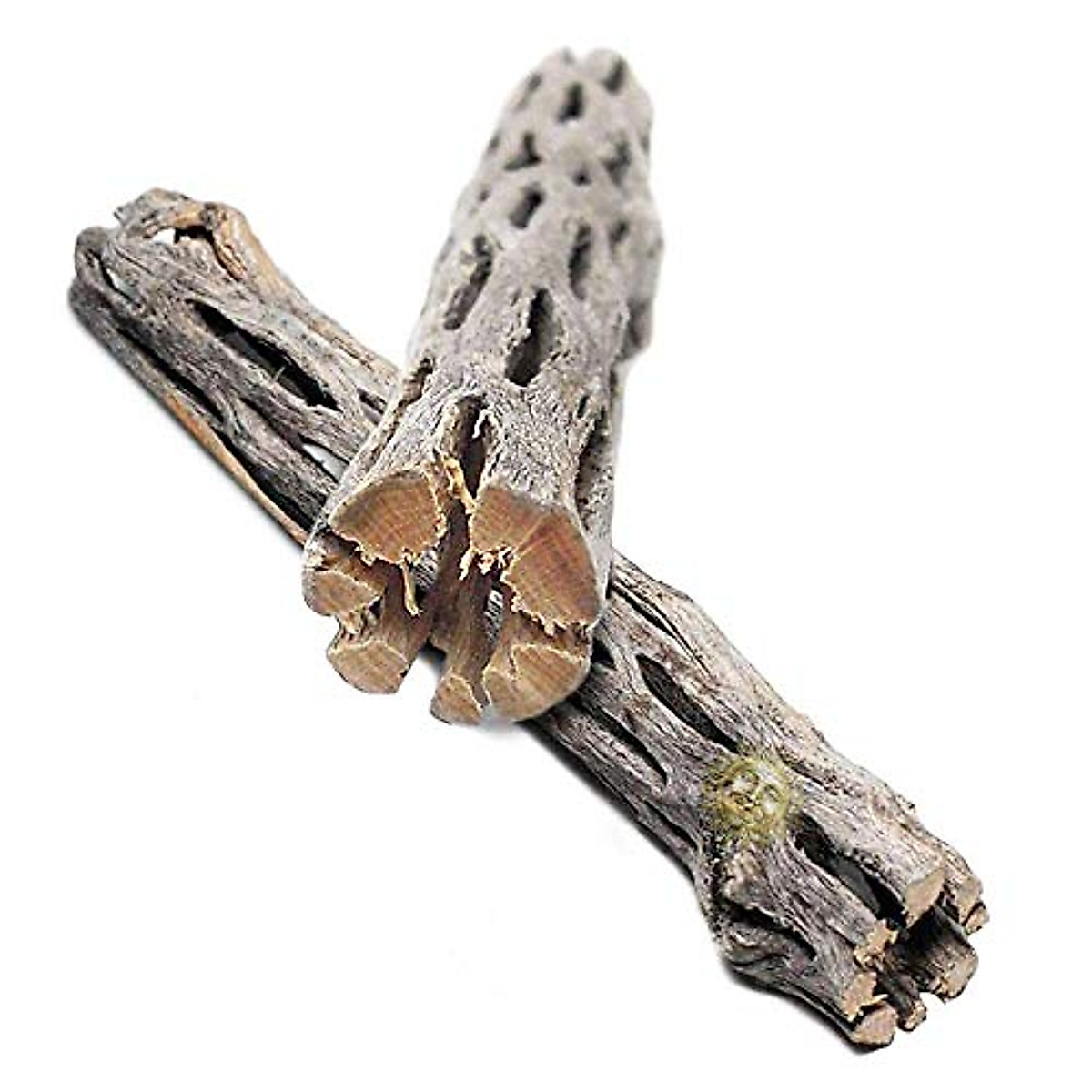 SunGrow Betta Cholla Wood, 6 Inches Long, Encourage Exercise, Create Basking Spot, Creative Addition to DIY Home Crafts, Great Accent Piece, 2-Pieces