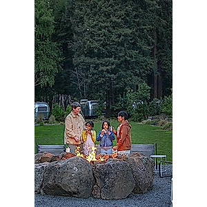 Stanley Everyday GO Tumbler 10oz Stainless Steel