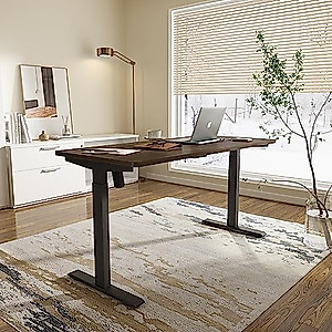 ALFA FURNISHING Height Adjustable Standing Desk, 60” x 30” inches Electric Standing Desk with Whole Piece Desk Board, 2 Pre-Set Memory Button Sit Stand Desk for Home Office Workstation