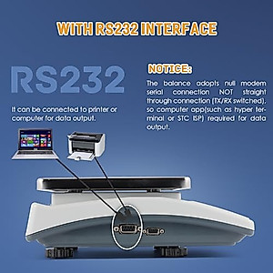 Bonvoisin Industrial Counting Scale Digital Scale for Parts and Coins kg/g/lb Electronic Gram Scale Inventory Counting Scale Industrial Parts Coins Piece Counting Scale (30kg/66lb, 1g)