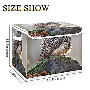 Kigai Storage Basket Cute Owl Storage Boxes with Lids and Handle, Large Storage Cube Bin Collapsible for Shelves Closet Bedroom Living Room, 16.5x12.6x11.8 In