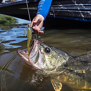 Crappie Jig Heads Kit, 20Pcs Fishing Jig Head Hook Fishing Lure Jig Head with Eye Ball Jig Hook Lure with Spinner Blade Fishing Tackle for Saltwater Freshwater Fishing