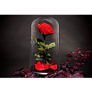 Sharper Image Timeless Rose - Red