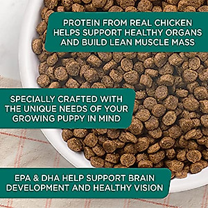 Rachael Ray Nutrish Bright Puppy Premium Natural Dry Dog Food, Real Chicken & Brown Rice Recipe, 14 Pounds (Packaging May Vary)