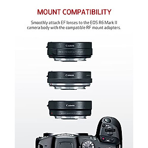 Canon EOS R6 Mark II - Full Frame Mirrorless Camera (Body Only) - Still & Video - 24.2MP, CMOS, Continuous Shooting - DIGIC X Image Processing - 6K Video Oversampling - Advanced Subject Detection