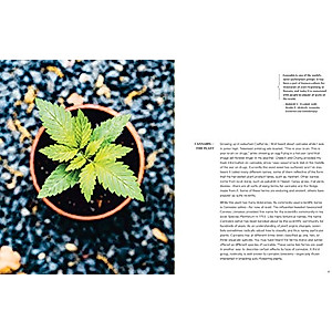 The Cannabis Gardener: A Beginner's Guide to Growing Vibrant, Healthy Plants in Every Region [A Marijuana Gardening Book]