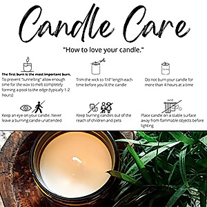 Bluebyrd Soap Co. Fraiser Fir & Pine Scented Candle Jar 9oz. | Amber Glass Holiday Candle Made with Natural Coconut Wax & Non-Toxic Fragrance (Fresh Cut Trees, 9oz)