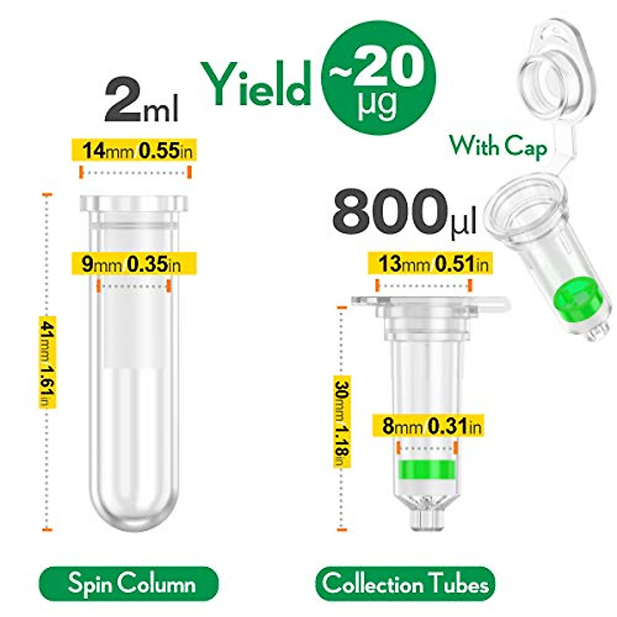 50Pcs 2mL Spin Column Micro centrifuge Tube Nucleic Acid Purification Column for Genomic DNA/RNA Purification, High Speed Plasmid Column & Collection Tube Kit by Biomed Scientific