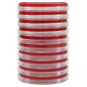 Columbia CNA Agar (Colistin and Nalidixic Acid), with 5% Sheep Blood, for the Selective Isolation of Gram Positive Bacteria, 15x100mm Plate, Order by the Package of 10 plates, by Hardy Diagnostics
