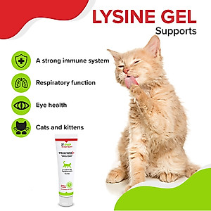 Trulysine Viralysine L-Lysine Gel Supplement for Cats, 5oz - Cats & Kittens of All Ages - Immune Health - Sneezing, Runny Nose, Squinting, Watery Eyes - Palatable Maple Flavor