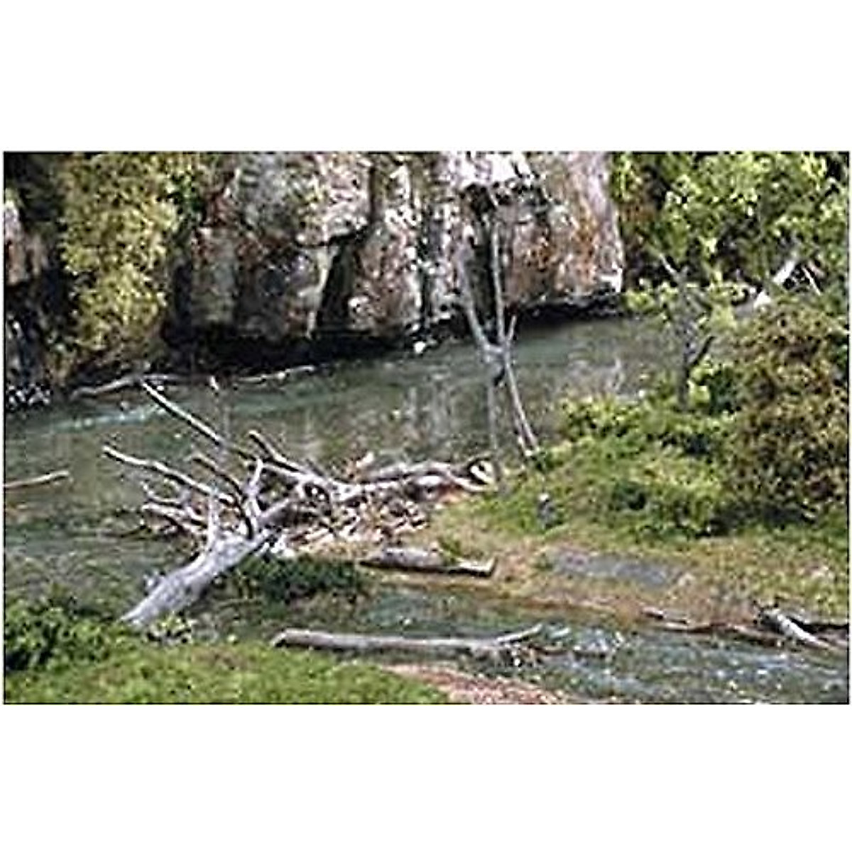 Dead Fall Branches .5oz- 1/pkg