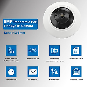 5MP FishEye Panoramic PoE IP Security Camera Indoor, OEM DS-2CD2955FWD-IS with 1.05mm Fixed Lens, 180° Wide Angle View, Audio & Alarm I/O, Support Micro SD Card, 26ft Night Vision, Smart IVS (DT955)