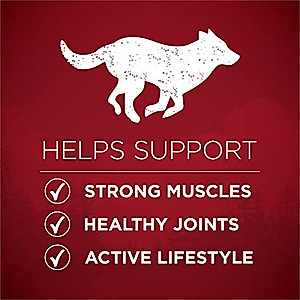 Purina ONE True Instinct High Protein Formula with Real Beef and Salmon Dry Dog Food - 15 lb. Bag