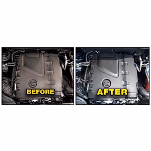 P21S 13001B Auto Wash W/Sprayer, 1000 ml, White