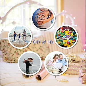 Jayron Backlight Digital 9,999 Days Countdown Timer Big LCD Display Count Down for Retirement Wedding Vacation Christmas Event Classroom Cruise