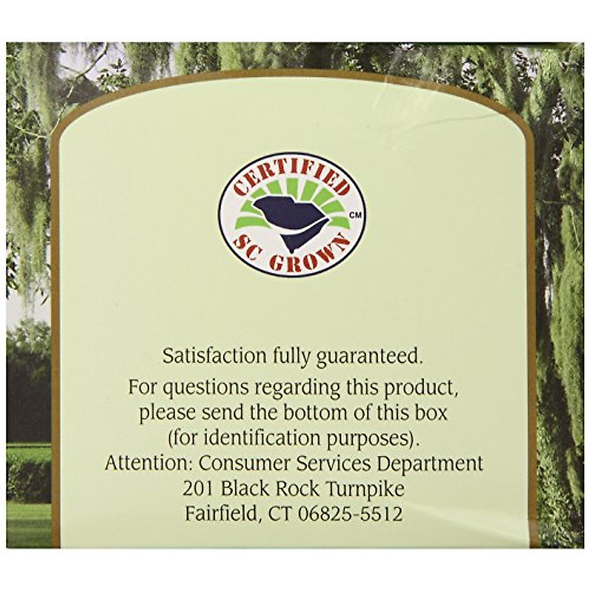 Island Green Pyramid Teabags, 12 Count