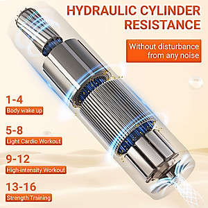 Niceday Hydraulic Squat Machine & Rowing Machine, 16 Resistance level & LCD Monitor