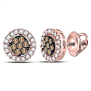 10k Rose Gold Chocolate Brown Diamond Flower Cluster Screwback Stud Earrings (1/4 Cttw)