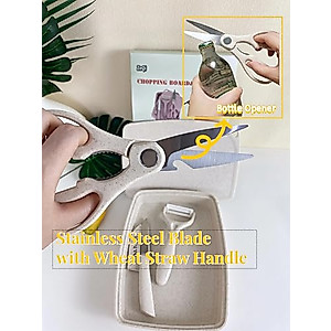 ZeQi 5-in-1 Cutting Board, Knife, Peeler, Scissors and Tray Set/Travel, Camping/Outdoor, Dorms/Small Cutting Boards/BPA Free/Dishwasher Safe/Kitchen Utensils…