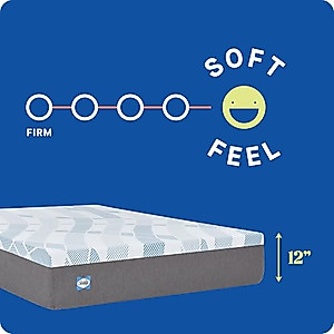 Sealy Dreamlife 12” Foam Mattress-in-a-Box, Full