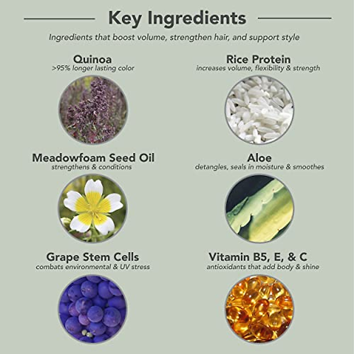 Framesi Color Lover Volume Boost Shampoo, 33.8 fl oz, Sulfate Free Shampoo with Quinoa and Aloe Vera, Color Treated Hair