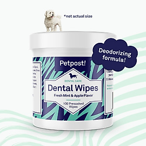 Petpost | Dental Wipes for Dogs - Bad Breath and Tooth Buildup Remover - Presoaked Pads in Natural Tooth Cleaning Solution 100 ct.