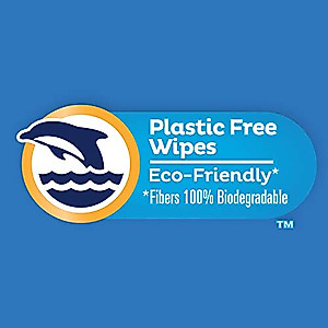Cottonelle Flushable Wet Wipes for Adults, 2 Flip-Top Packs, 42 Wipes per Pack (84 Wipes Total)