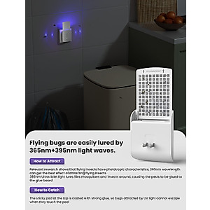 YISSVIC Fruit Fly Sticky Traps 5PCS Gnat Traps Bug Traps Gnat Killer for Indoor Outdoor House Kitchen Mosquitos Flying Insects