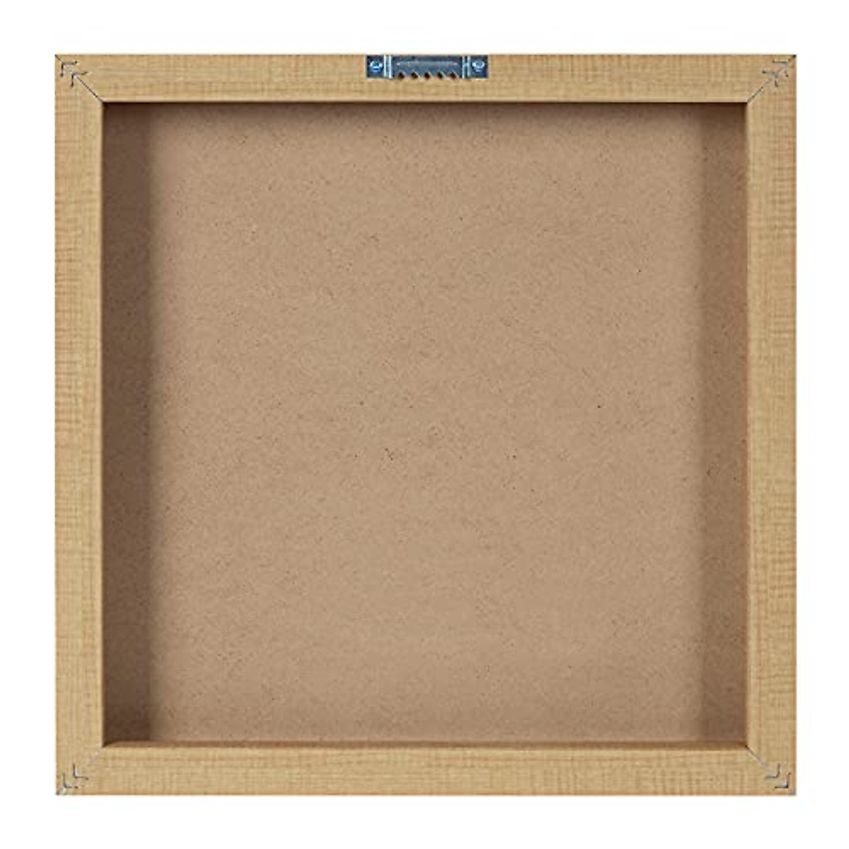 Kate and Laurel Sylvie Safari Animal Collection Framed Canvas Wall Art by Amy Peterson Art Studio, Set of 6, 13x13 Natural, Decorative Animal Art for Wall