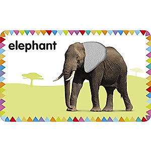 My First Touch and Feel Picture Cards: Animals (My First Board Books)