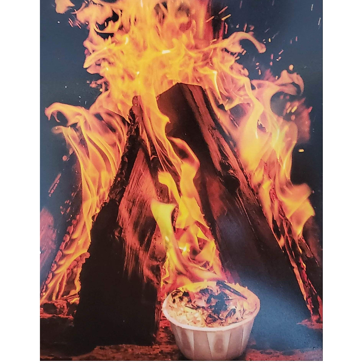 Qwick Wick Fire Starters - 65 Pack with Storage Bucket - Great for Fireplace, Wood Stoves, Camp Fires
