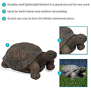 Sunnydaze Tanya The Tortoise Large Garden Statue - 20-Inch Long - Indoor/Outdoor Decoration for Yard, Patio, Pond, or Lawn