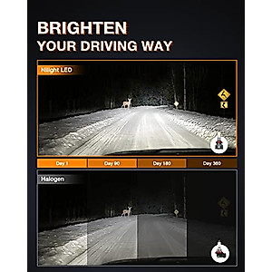 Nilight H11 LED Headlight Bulbs, 350% Brighter, 50W 10000lm Headlamp Bulbs, Mini Size, H9 High Beam, H11 Low Beam, H11/H9/H8/H16 Fog Light, 6000K Cool White, Pack of 2