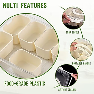Ztaussi Snack Containers, 1pc Snackle Box Charcuterie Container 8 Compartment Divided Serving Tray with Lid and Handle,Portable Snack Platters Travel Food Organizer (1pc(8 Compartment))