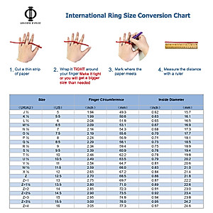 LerchPhi Tungsten Carbide Promise Ring Sets for Him and Her, Black Wedding Rings for Couples, Stepped Edge, Rose Gold Plated Jewelry