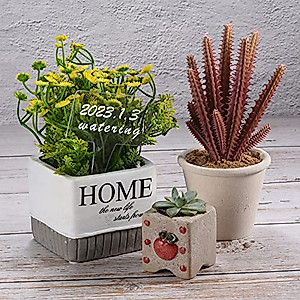 PATIKIL Acrylic Plant Tag, 6 Pack Reusable Rectangle Garden Herb Name Label for Outdoor Patio Flower Grass Bonsai Potting, Transparent