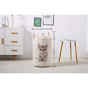 LifeCustomize Laundry Hamper Basket Small Gray Kitten Cat Print Folding Nursery Clothing Storage Bins with Handles