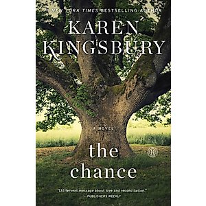 The Chance: A Novel