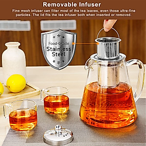Molgree Glass Teapot Stovetop Safe, 43oz Glass Teapot with Infuser, Glass Tea Kettle Glass Tea Pots with Removable Stainless Steel Infuser for Blooming and Loose Leaf Tea